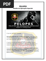 A. Uniformes e Distintivos Do Exército (Resumida) PDF | PDF | Exército | Militar