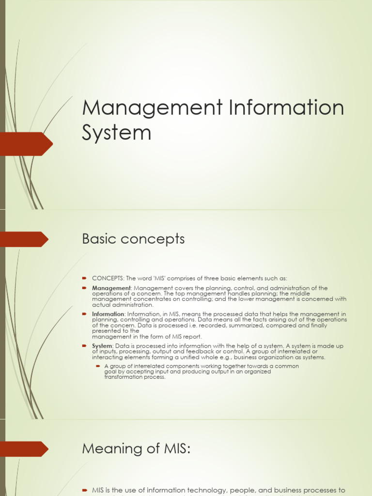 Lecture 1 Introduction MIS | PDF