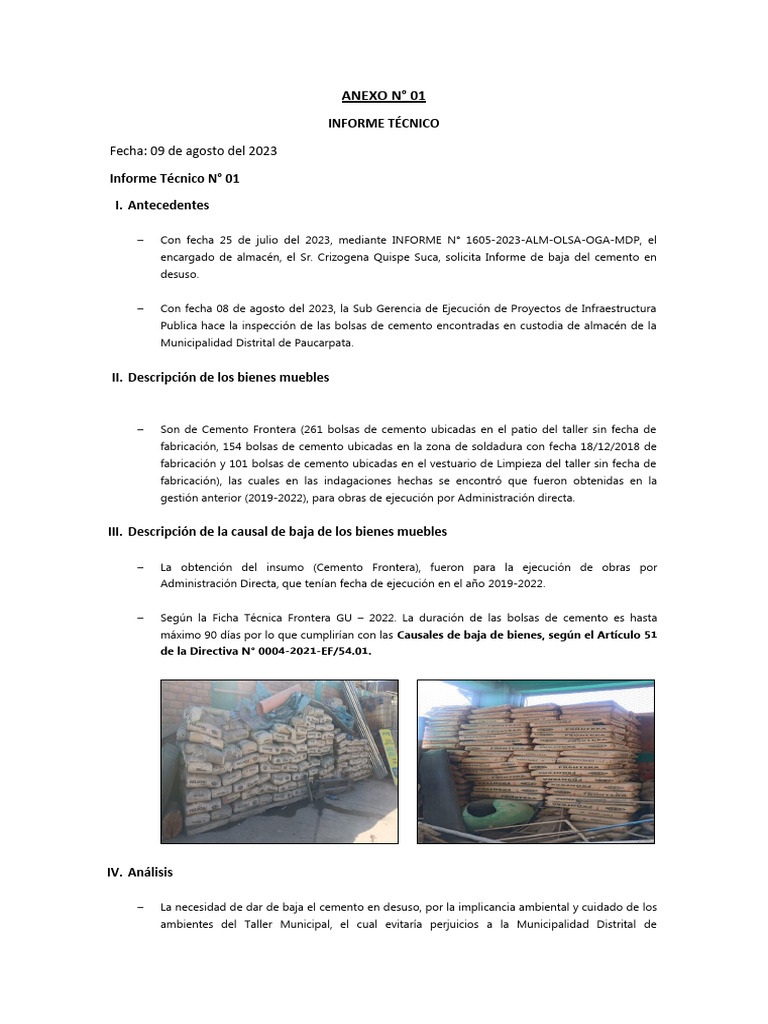 ANEXO N 01 - Directiva #0004-2021-Ef54.01 | PDF | Tecnología e ingeniería