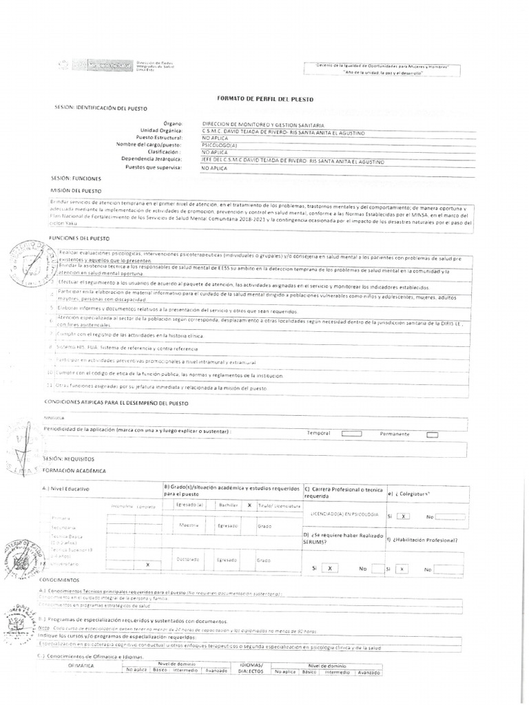 Perfiles Ris Santa Anita - El Agustino (DS #108-2023-Ef) | PDF