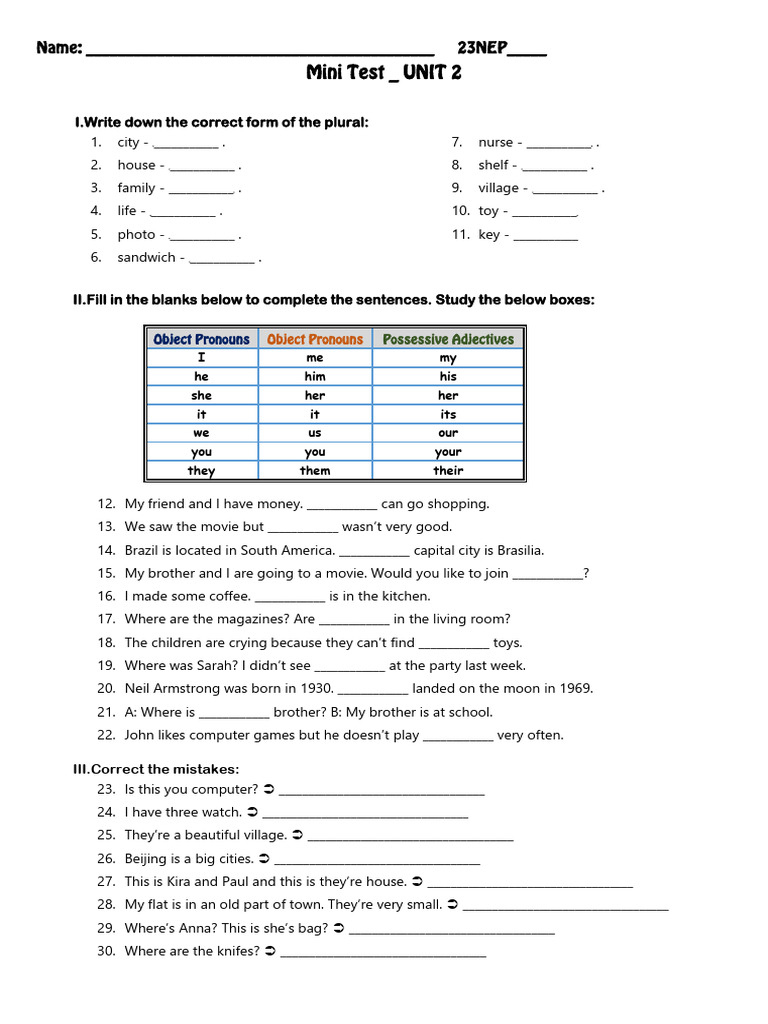 Mini Test on Plurals and Pronouns | PDF | Language Mechanics | Languages