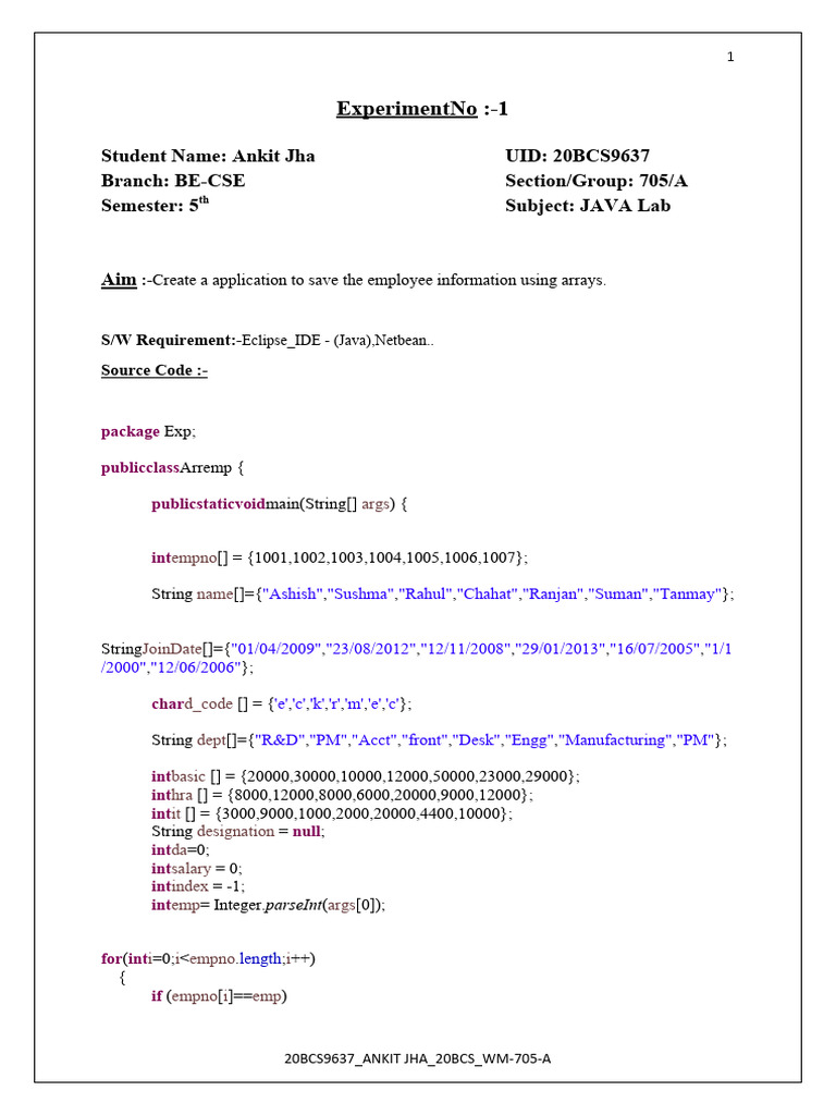 PBLJ 1.1 | PDF | Computers | Technology & Engineering
