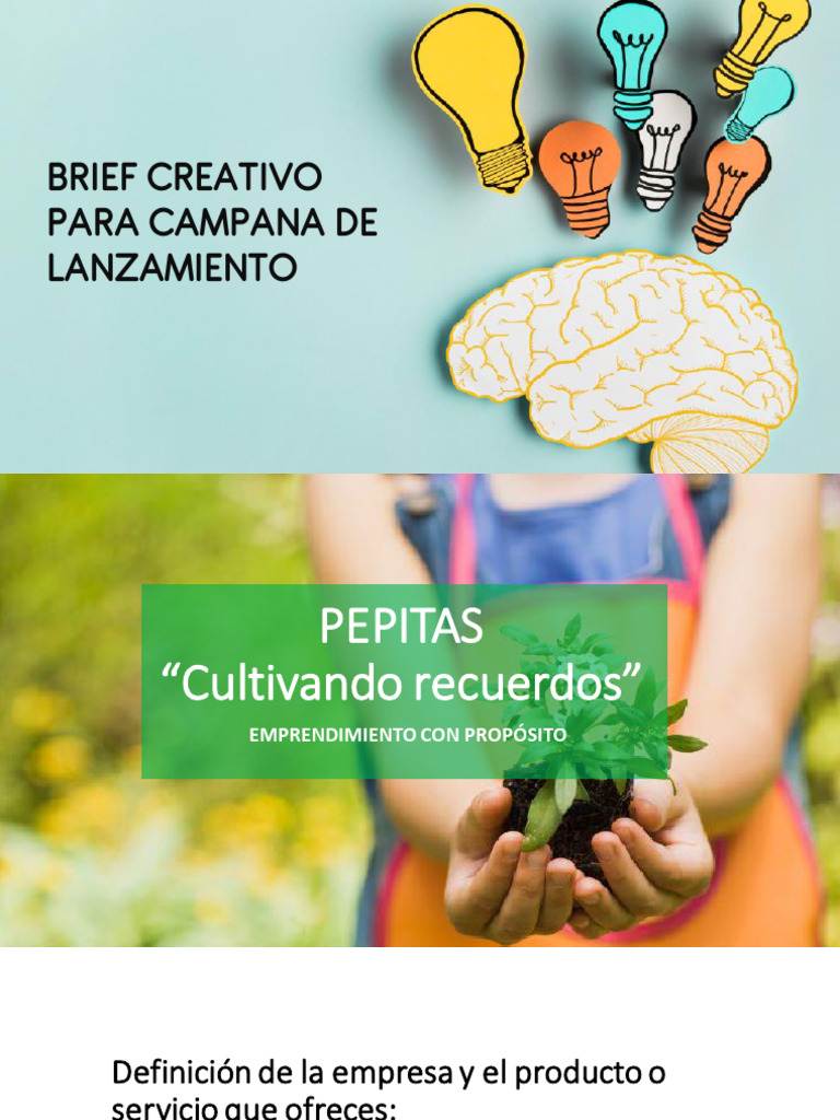 Brief Creativo para Campaña y Propuesta-Ejemplo Real | PDF