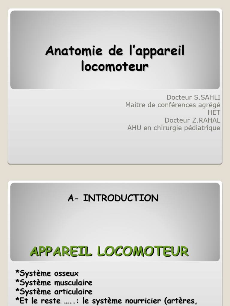 Anatomie de l'appareil locomoteur | PDF