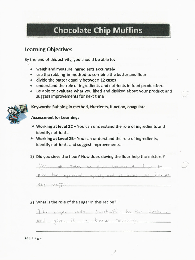 Muffin Evaluation | PDF