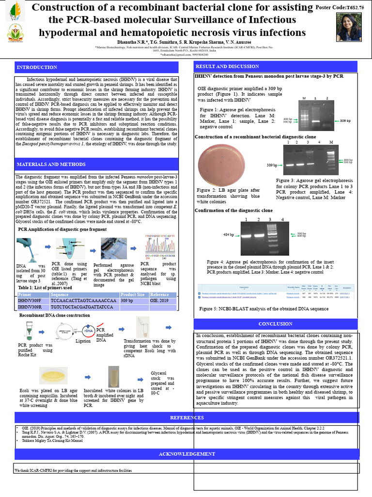 Poster Template XV ASC | PDF | Molecular Cloning | Polymerase Chain ...