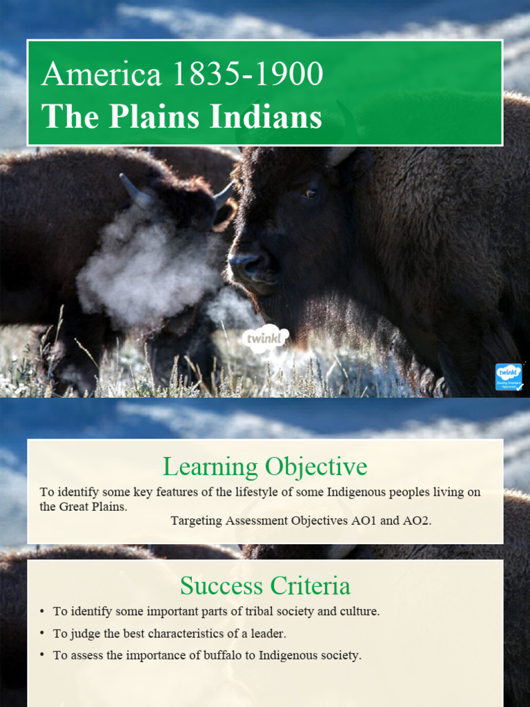 America 1835-1900 Lesson 1 The Plains Indians PowerPoint | PDF
