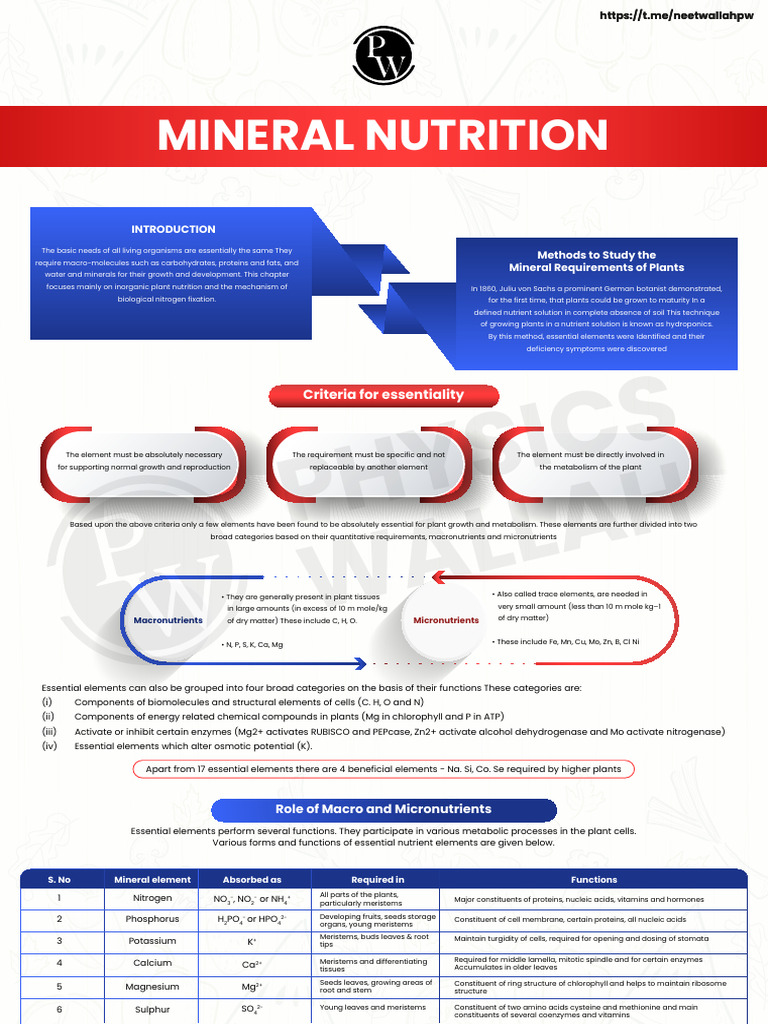 Mineral Nutrition - Mind Maps | PDF