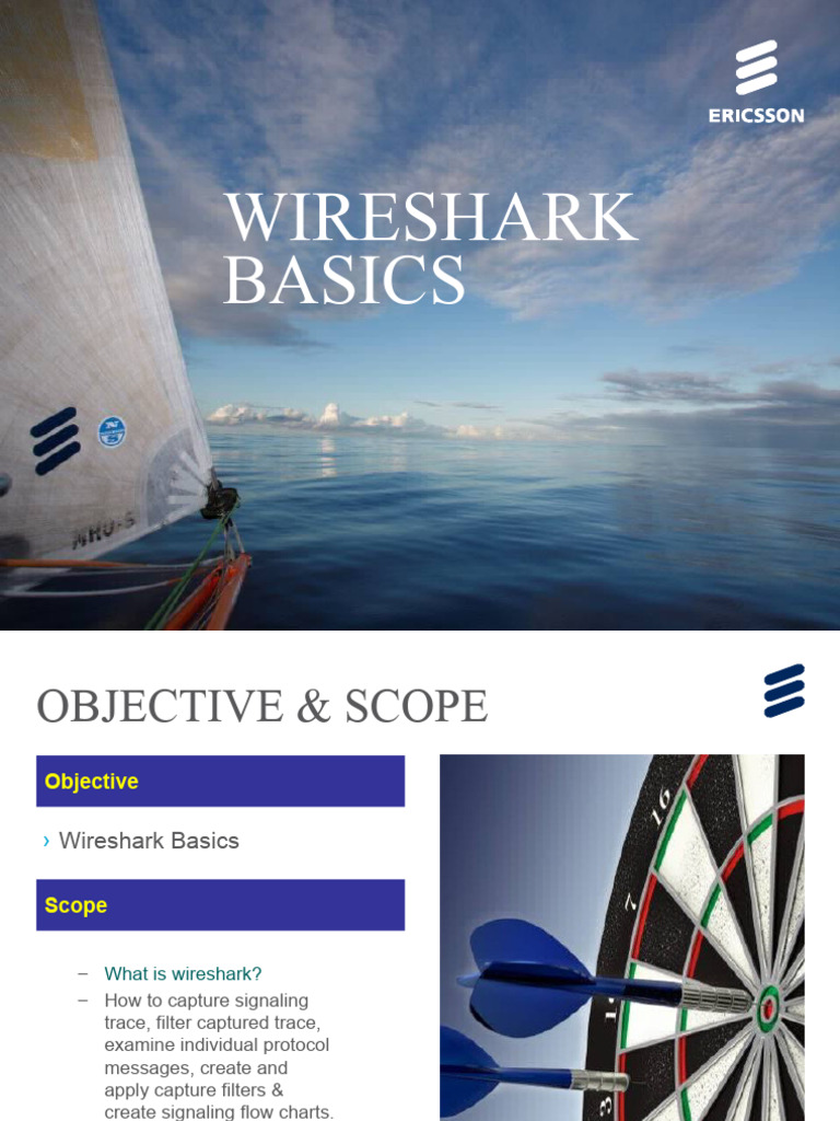 Wireshark Basics | PDF