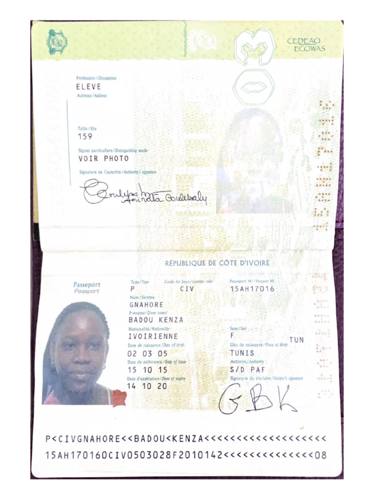 Signes Particuliers Distinguishing Marks | PDF