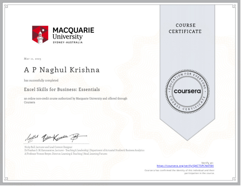 Coursera Excel Pdf