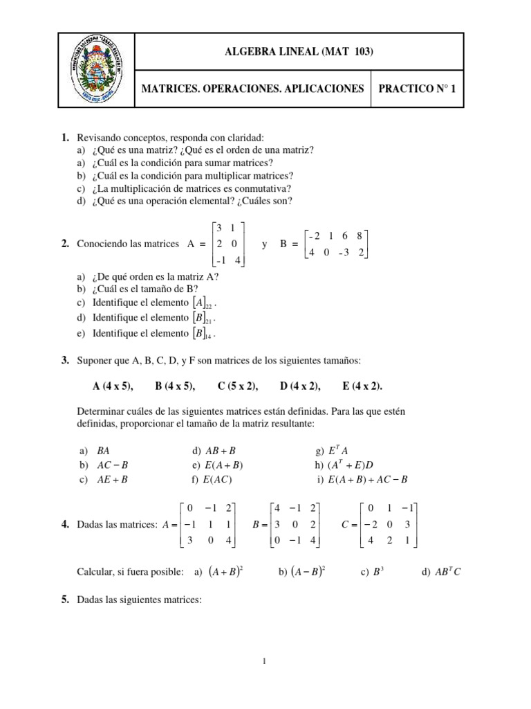 Práctico de Matrices | PDF | Matriz (Matemáticas) | Álgebra lineal
