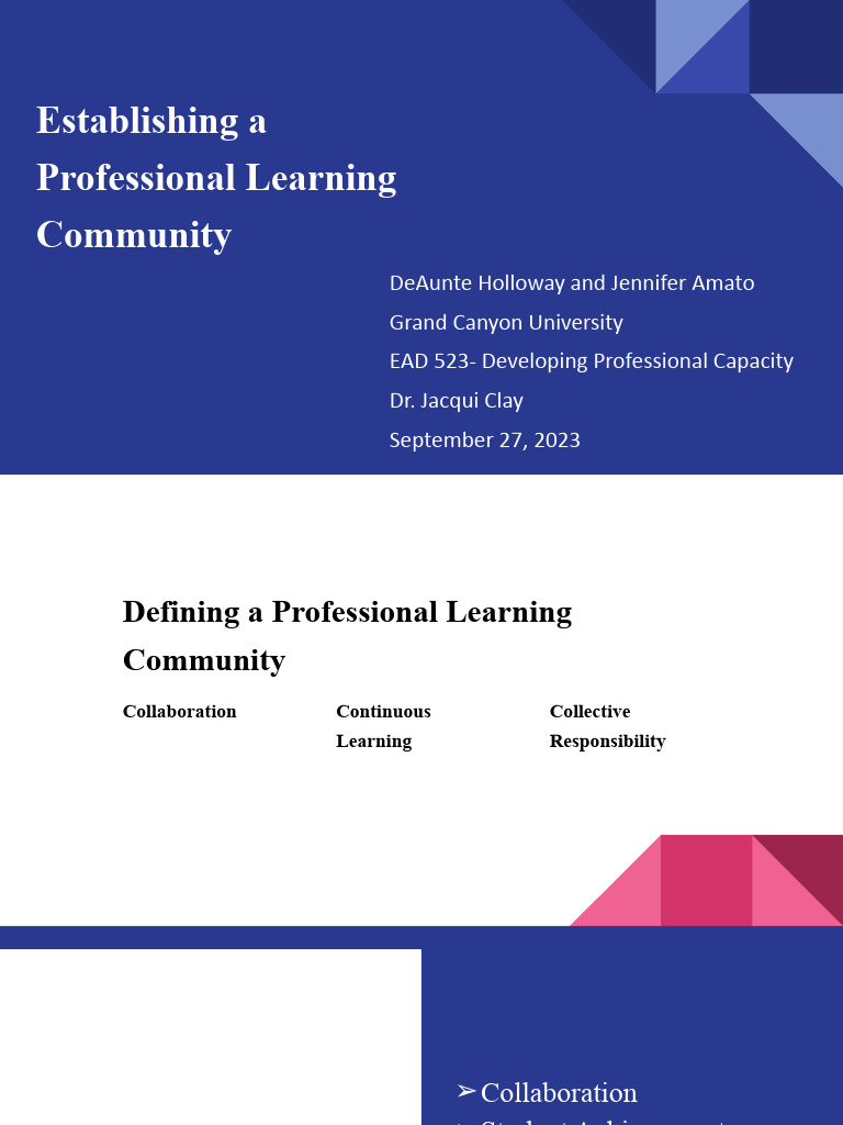 Establishing A Professional Learning Community | PDF | Teachers | Learning