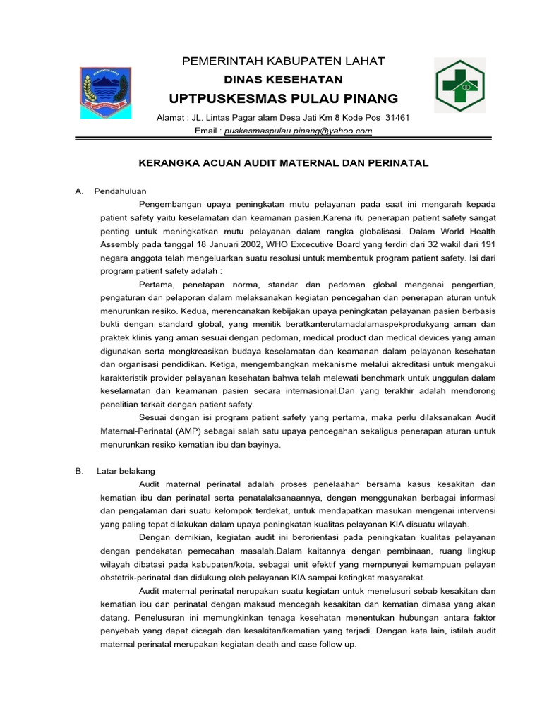 Audit Maternal dan Perinatal Lahat | PDF | Bisnis | Pengembangan Diri