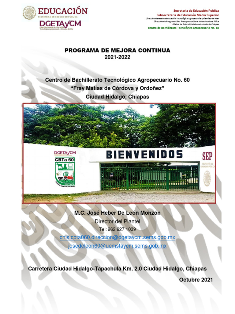 Cbta 60 | PDF | Análisis FODA