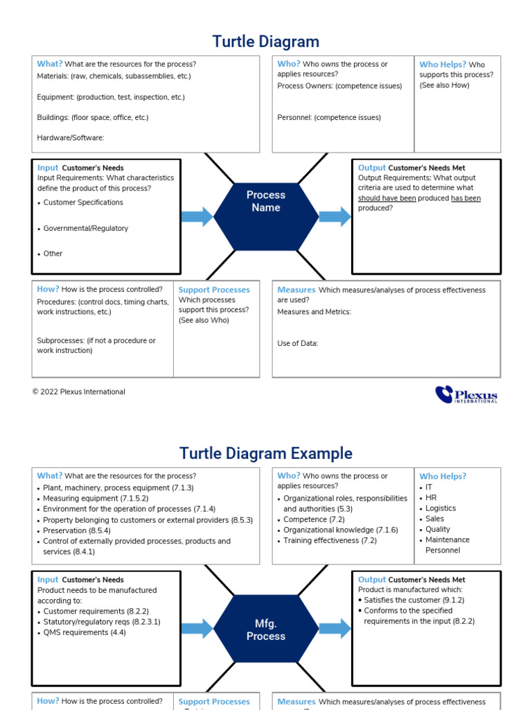 Turtle Diagram Template Download Plexus International 2022 | PDF ...