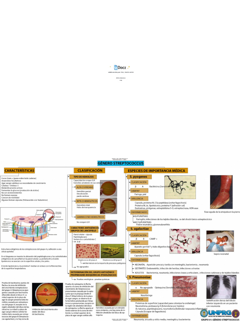 Diseases Caused By Protozoa Pdf