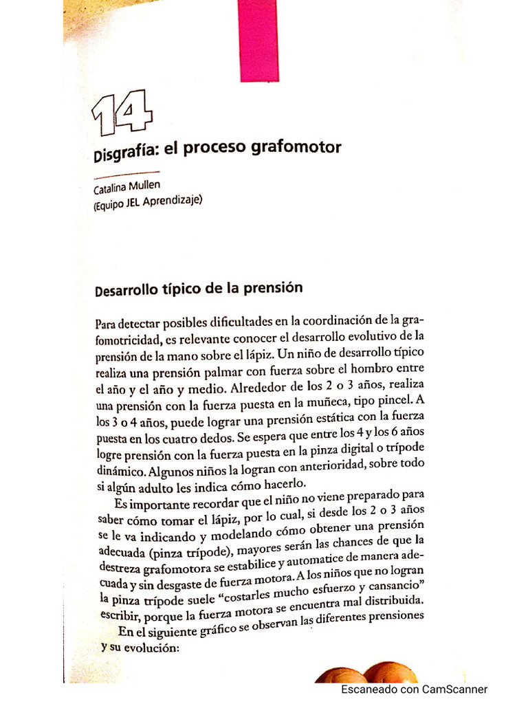 Disgrafia. Cap14 | PDF