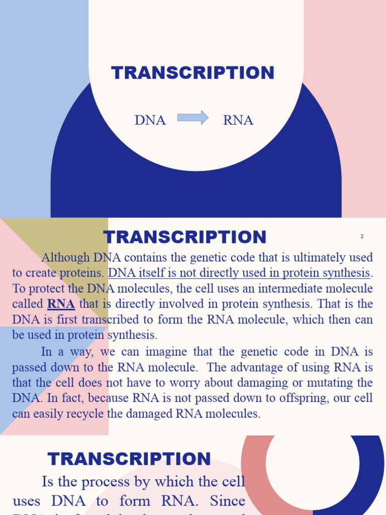 TRANSCRIPTION | PDF