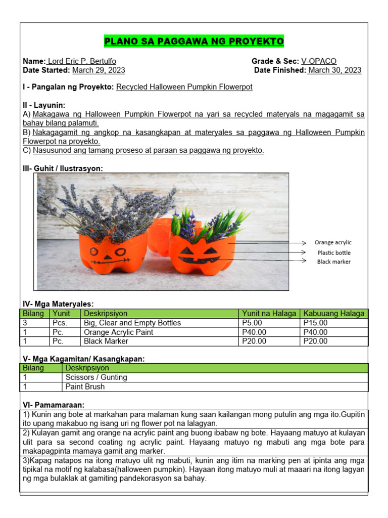 Pplano Sa Paggawa NG Proyekto | PDF
