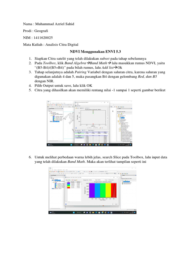 Tutorial Ndvi Envi | PDF | Metode & Bahan Ajar