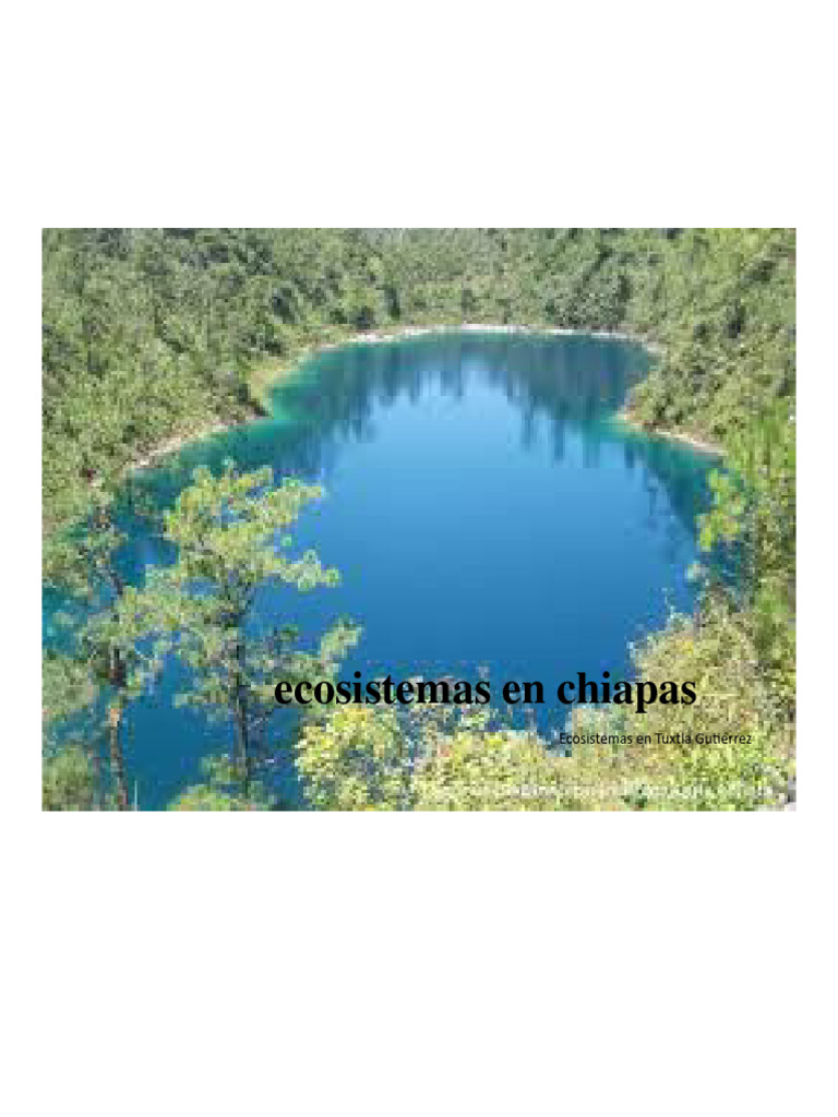 Ecosistemas de Chiapas | PDF | Selva | Chiapas