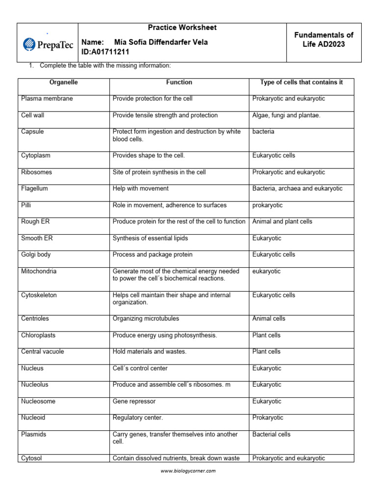 Practice Worksheet-1 | PDF | Cell (Biology) | Eukaryotes