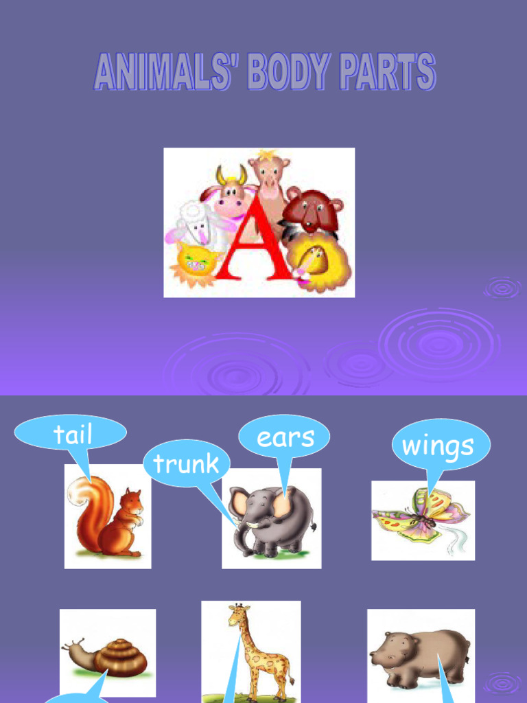 Animals Body Parts | PDF