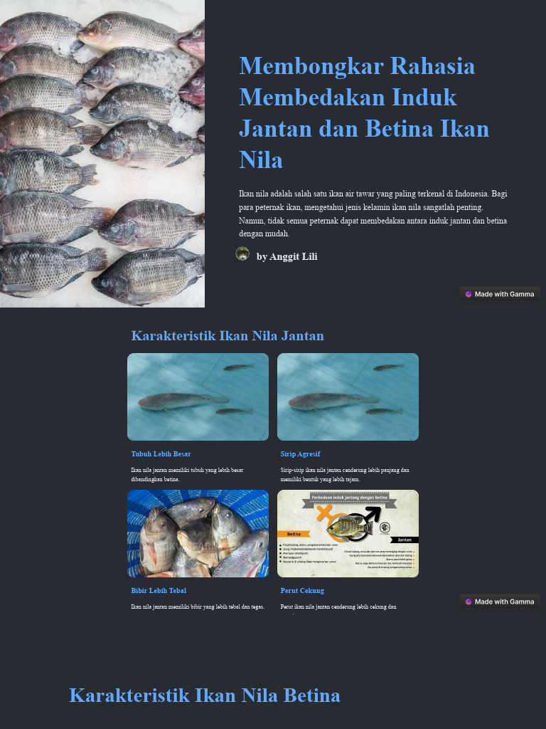 Membongkar Rahasia Membedakan Induk Jantan Dan Betina Ikan Nila | PDF