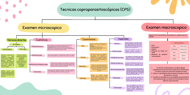 Mapa Conceptual CPS Directo e Indirecto | PDF