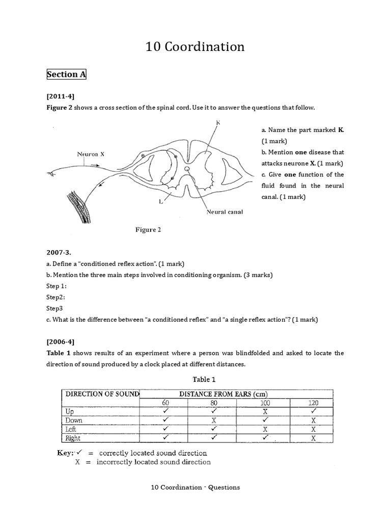 10 - Coordination Notes | PDF | Nerve | Nervous System