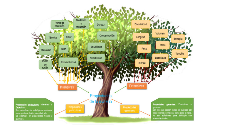 Diagrama de Arbol | PDF | Cantidades fisicas | Naturaleza
