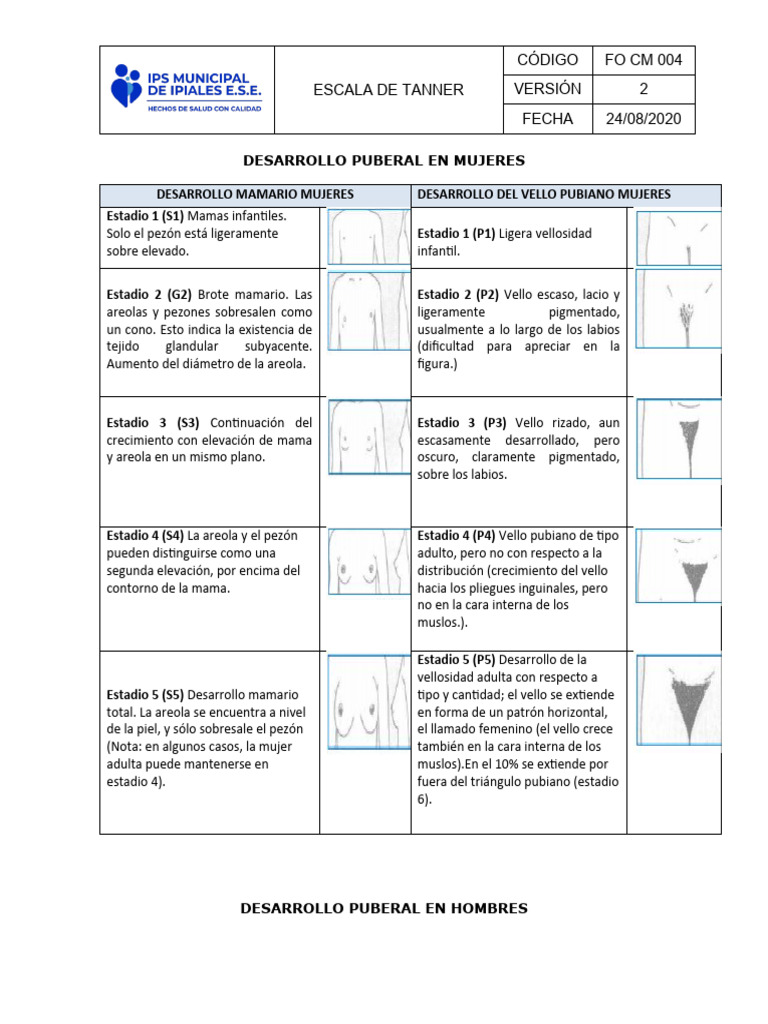 Fo Cm 004 Escala de Tanner | PDF | Pecho | Órgano (anatomía)