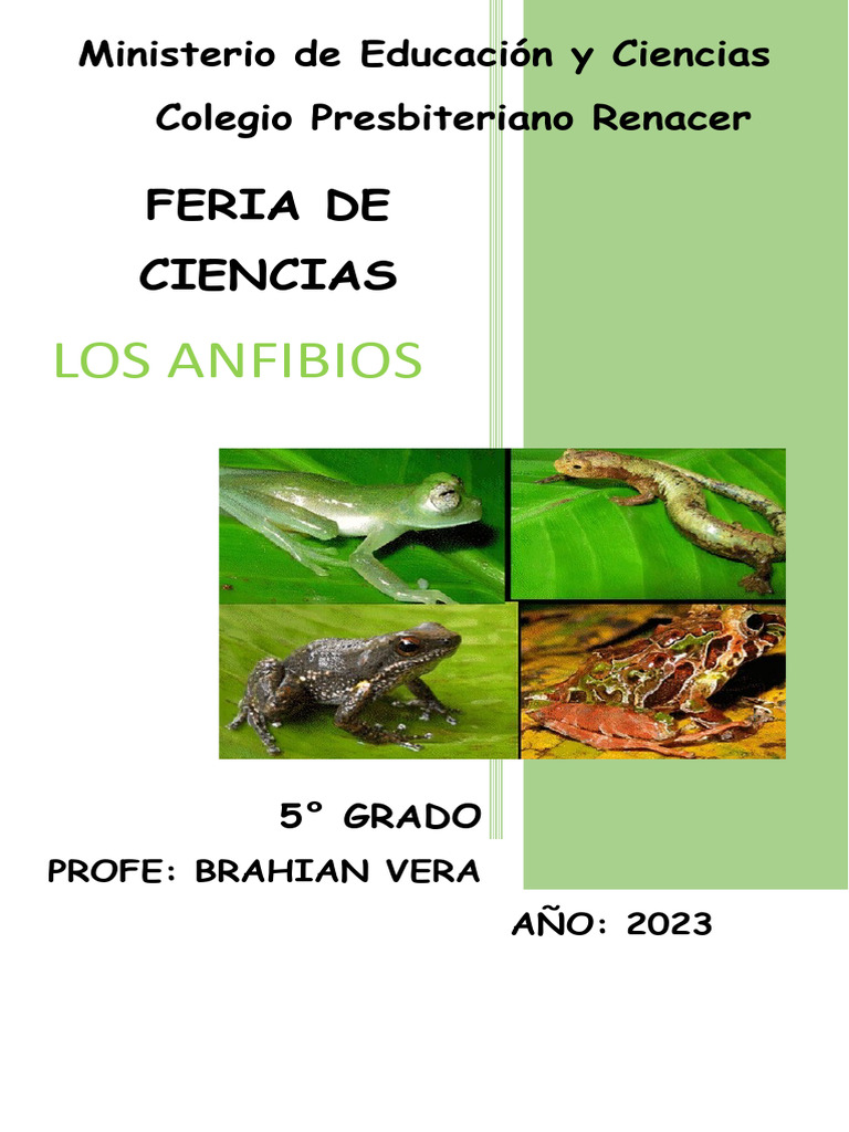 Los Anfibios | PDF | Anfibio | Rana
