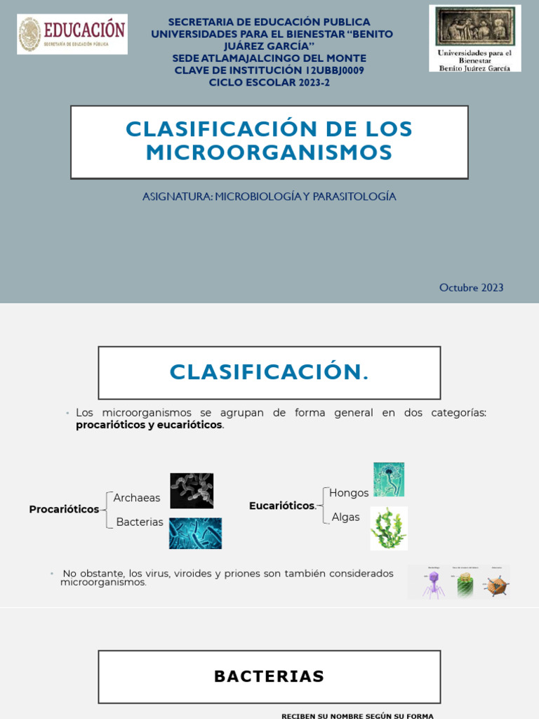 Clasificación de Los Microorganismos PDF | PDF | Eucariotas | Microorganismo