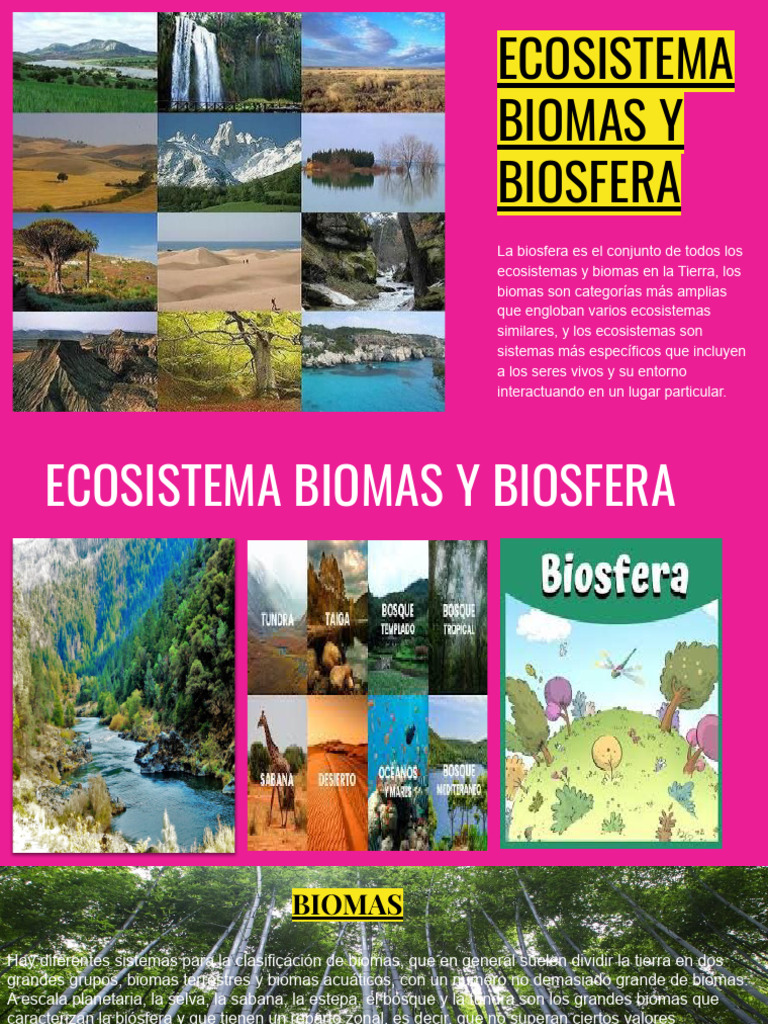 Ecosistemas y Biomas de la Tierra | PDF