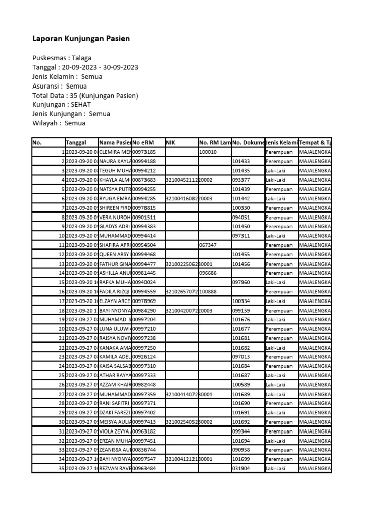 Laporan Kunjungan Pasien | PDF