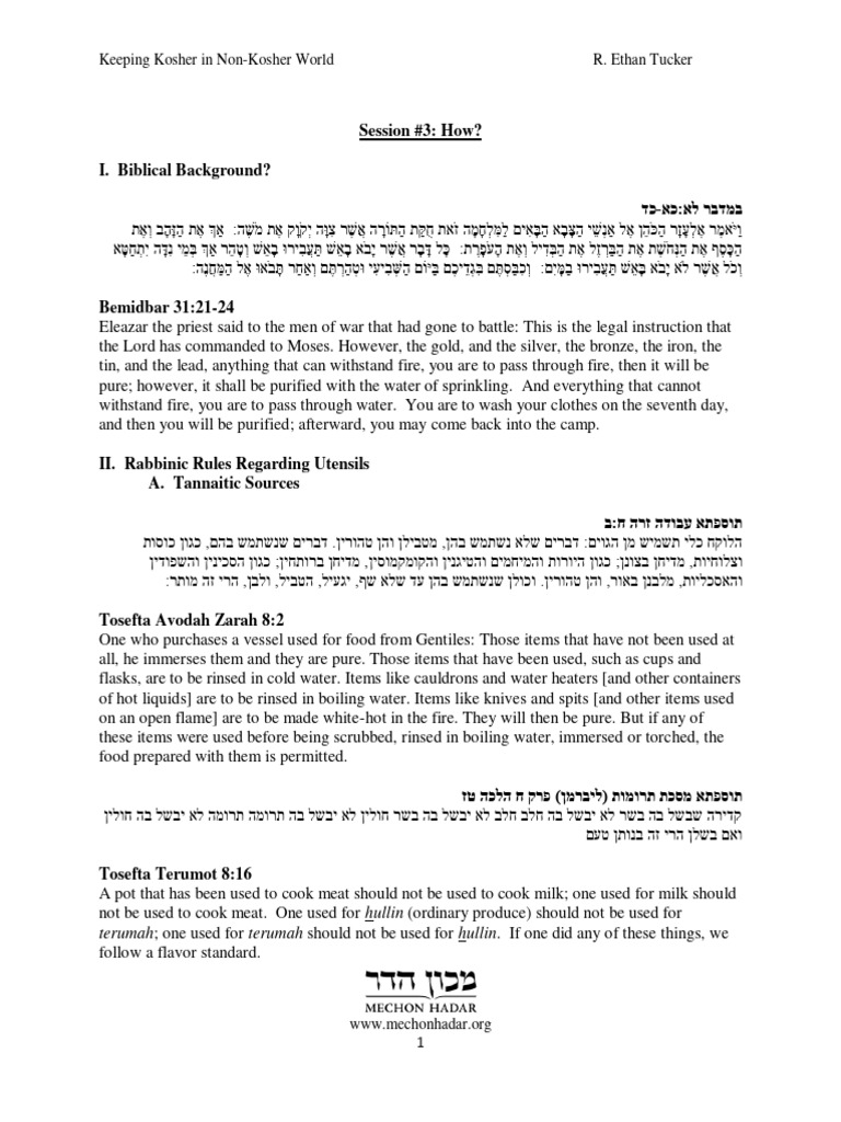 Keeping Kosher in A Non-Kosher World - The Series, Session 3 | PDF ...