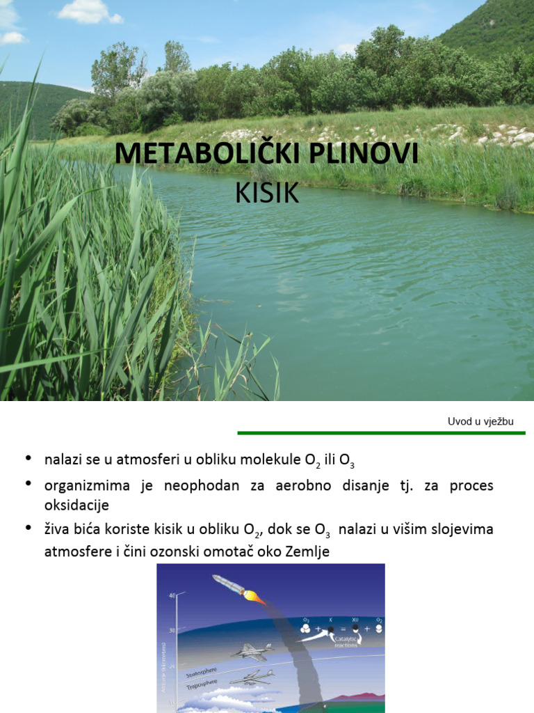 KISIK | PDF