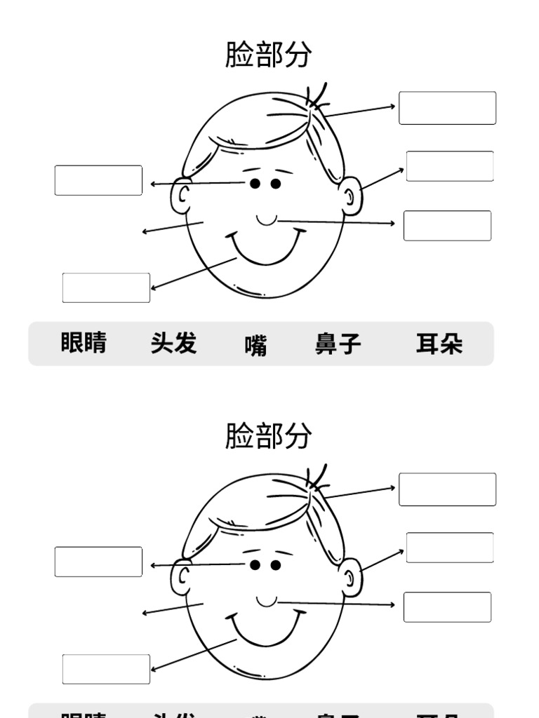 Black and White Label The Parts of The Face Printable Worksheet | PDF