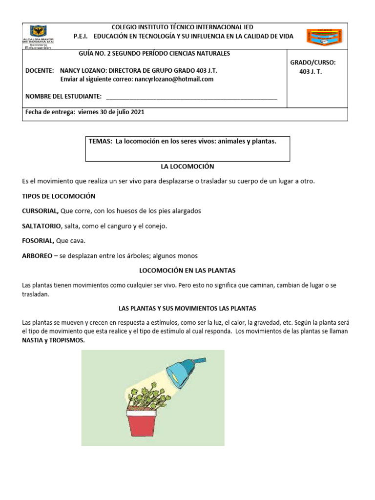 GUÍA-NO.-2-DE-CIENCIAS-2°-PERÍODO | PDF | Aves | Ala