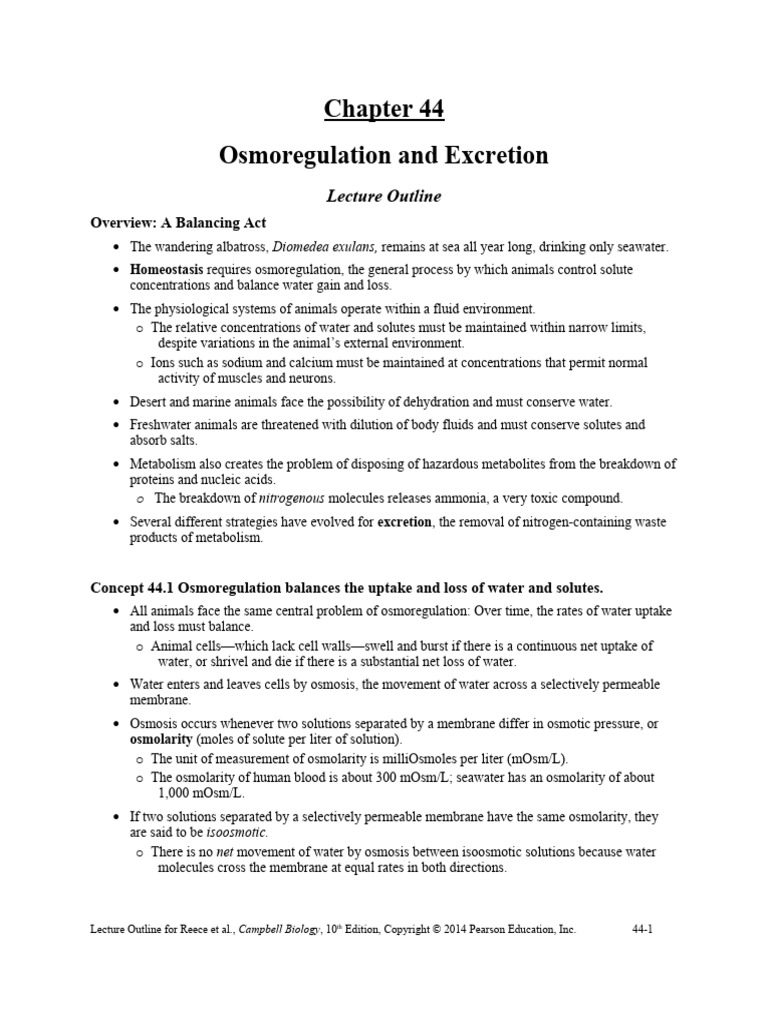 CH 44 Outline | PDF | Kidney | Chemistry