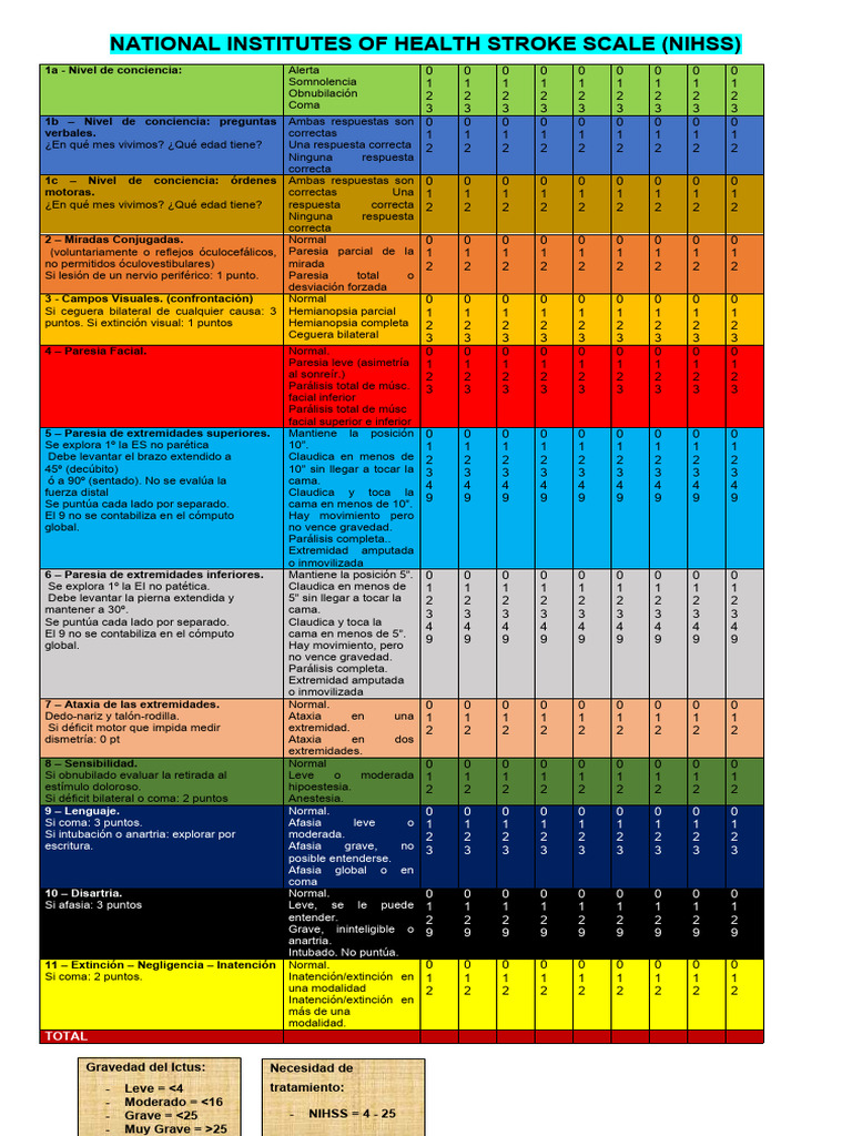National Institutes of Health Stroke Scale | PDF