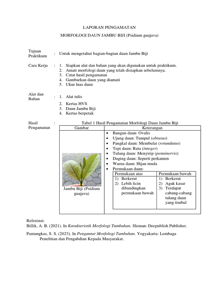 LAPORAN PENGAMATAN Morfologi Daun Jambu Biji | PDF | Sains & Matematika
