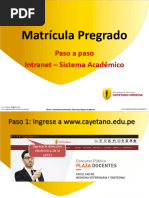 UPCH - Manual Portal Matrícula Postgrado | PDF | Informática | Software