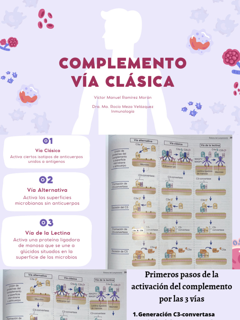 Complemento Via Clasica | PDF