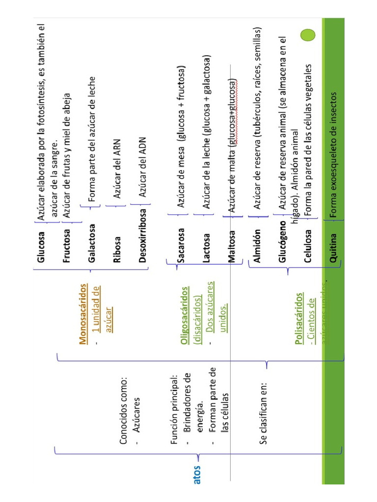 Diseño sin título_20230920_220817_0000 | PDF