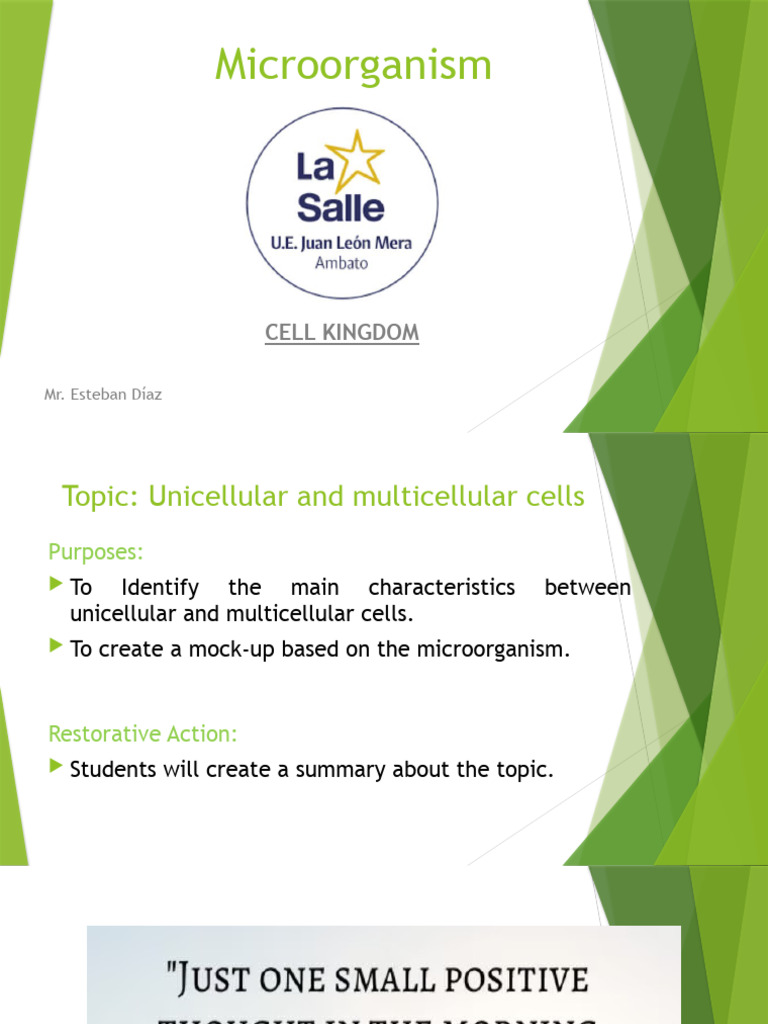 MICROORGANISM | PDF | Microorganism | Cell (Biology) MICROORGANISM | PDF | Microorganism | Cell (Biology)