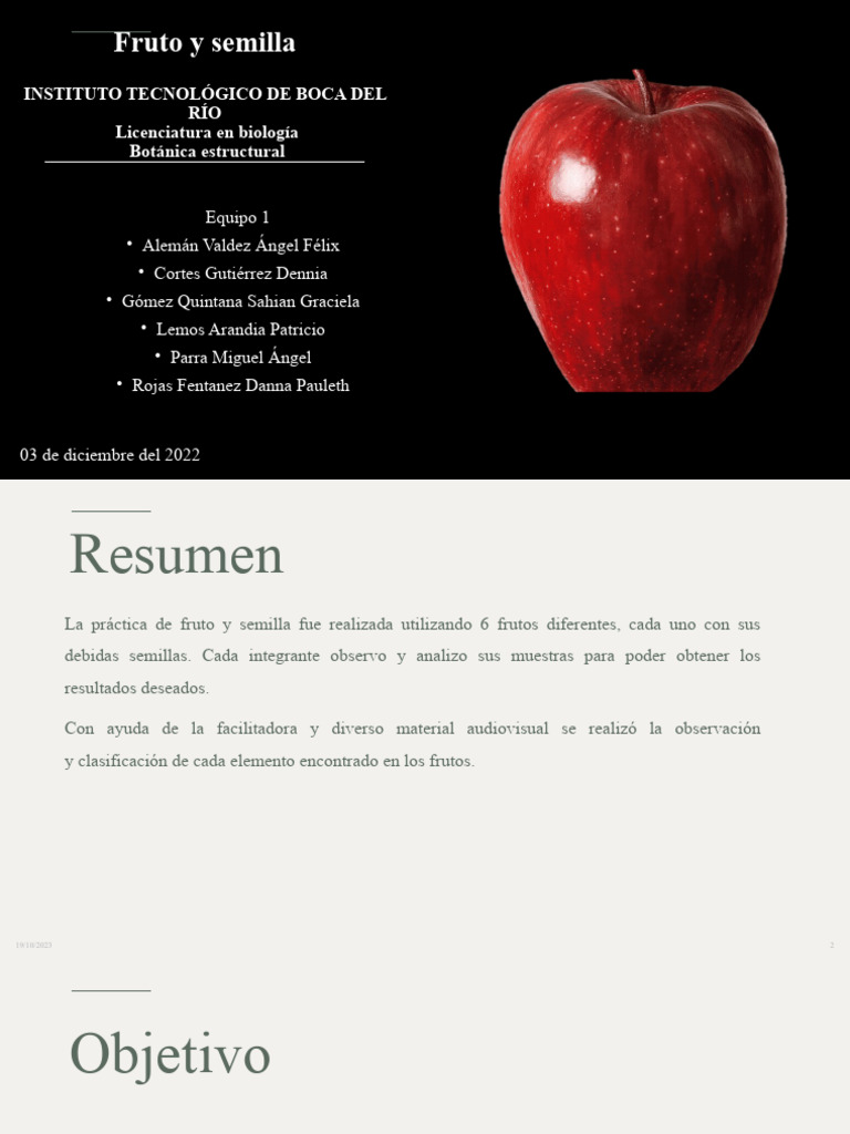 1 Fruto y Semilla | PDF | Semilla | Fruta