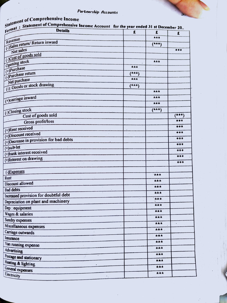 Accounting Formats | PDF